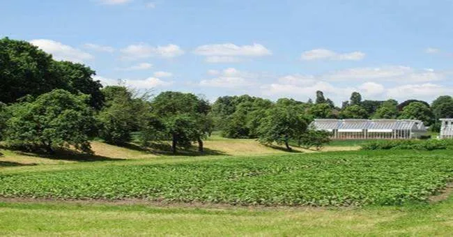 Three stages of Moses' life, 3x40 years, Egypt, the desert and the ...